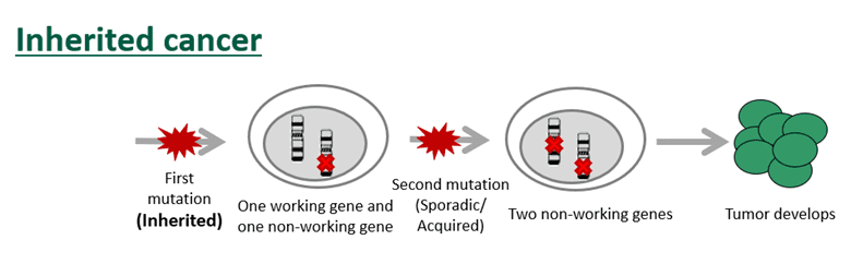 A Basic Guide to Cancer Genetics - Ironwood Cancer & Research Centers